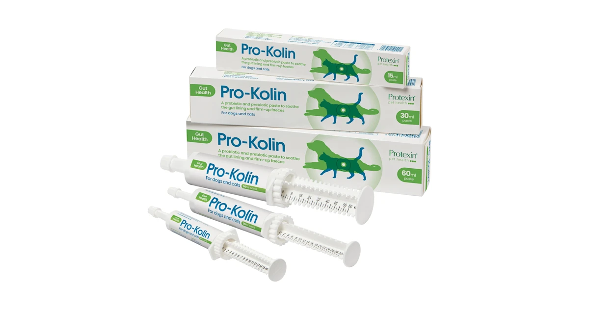 Pro-Kolin for dogs and cats - Probiotic paste to support the gut 60ml ... Pro-Kolin for dogs and cats - Probiotic paste to support the gut 60ml ...