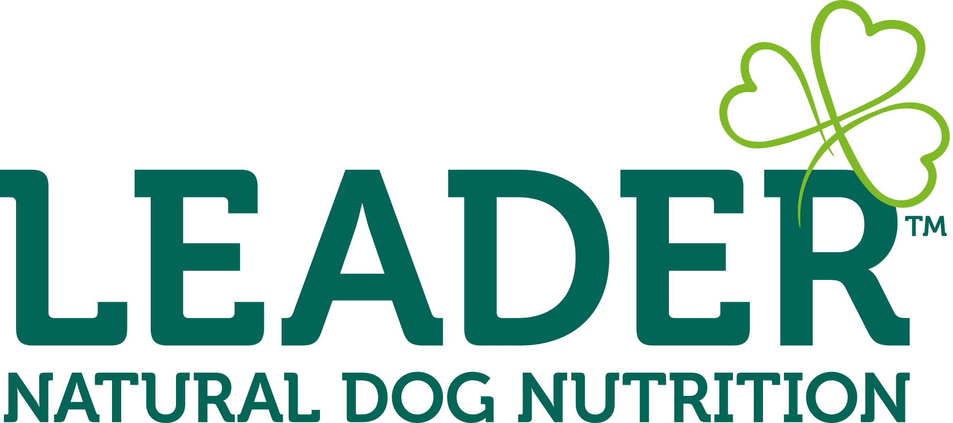 Leader | Dog Food | Koerland